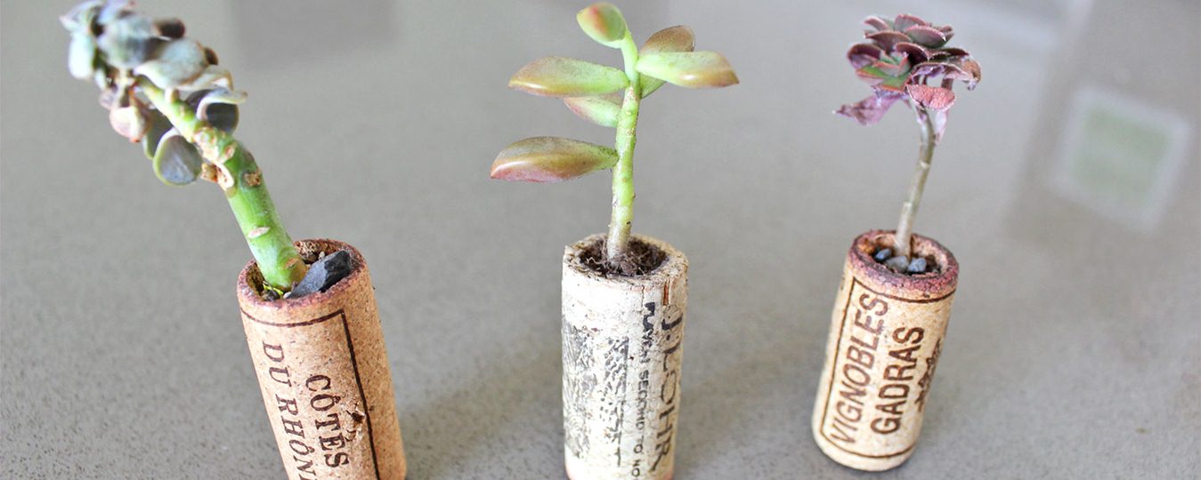 10 Easy DIY Recycle Crafts You Can Do At Home — Curious Halt