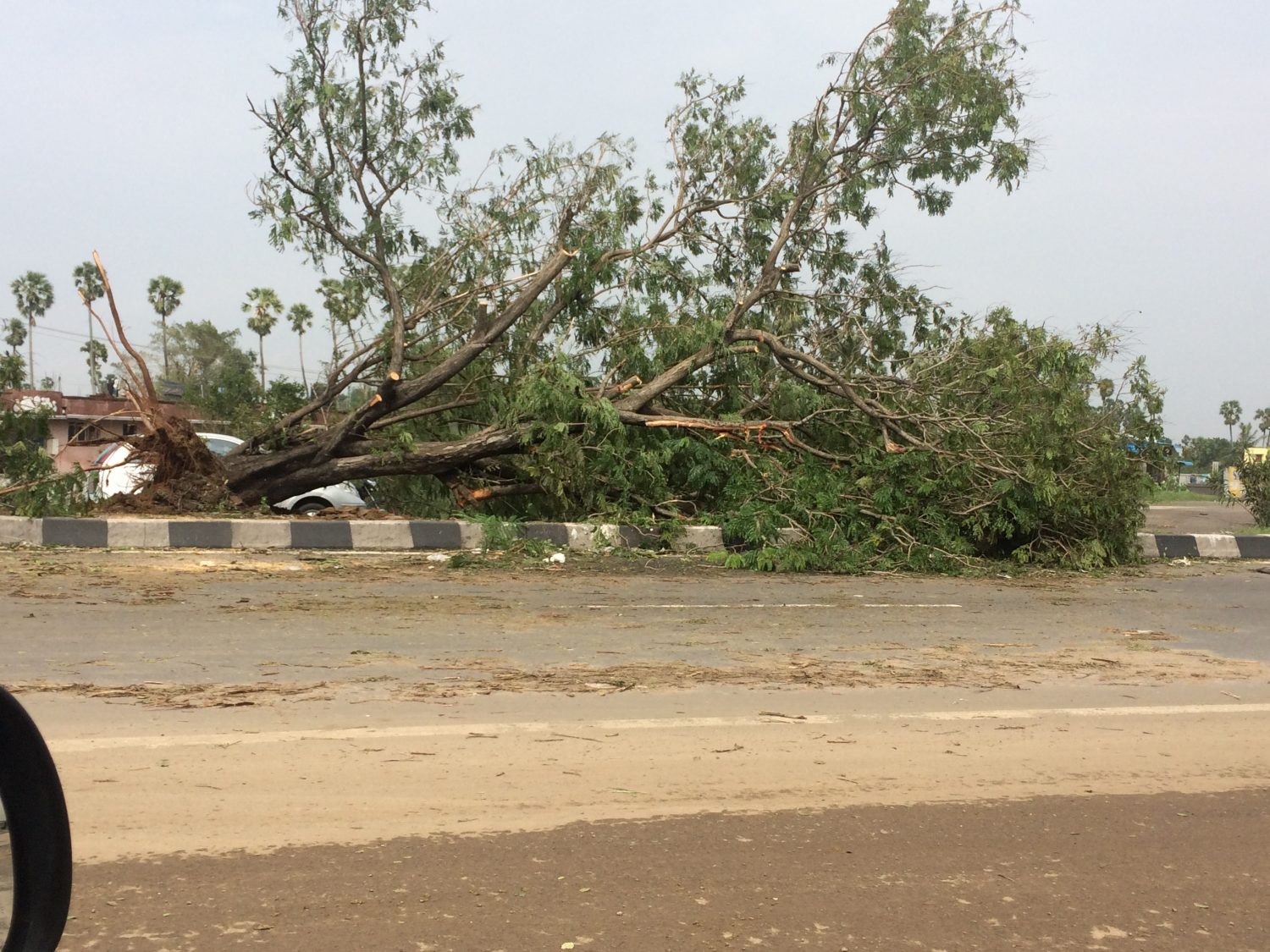 Home Alone For 3 Days Of Cyclone Vardah — Curious Halt