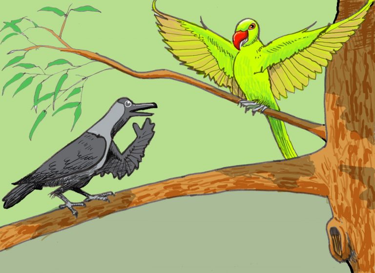 Short Story: Crows And The Parrots — Curious Halt
